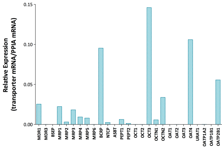 Placenta Transporter Data
